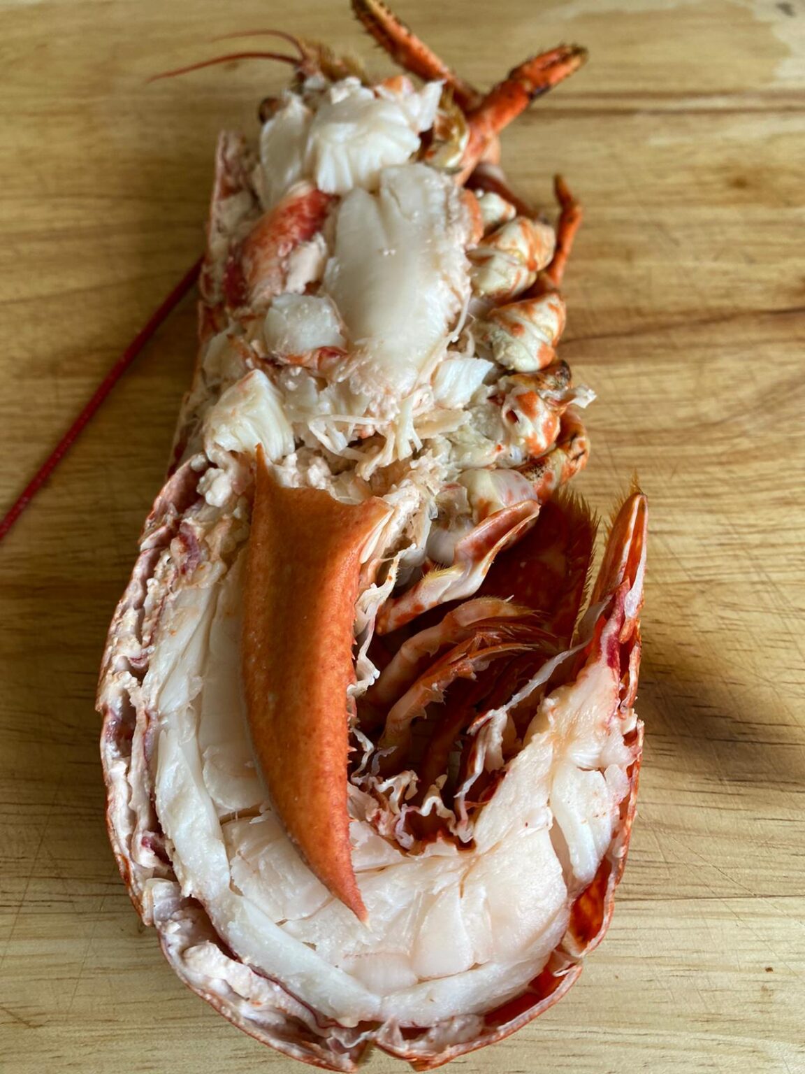 Half Dressed Lobster – Albatross Fisheries