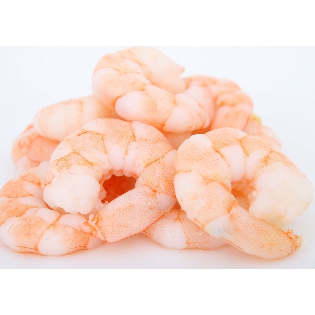 Cold Water Prawns - Albatross Fisheries